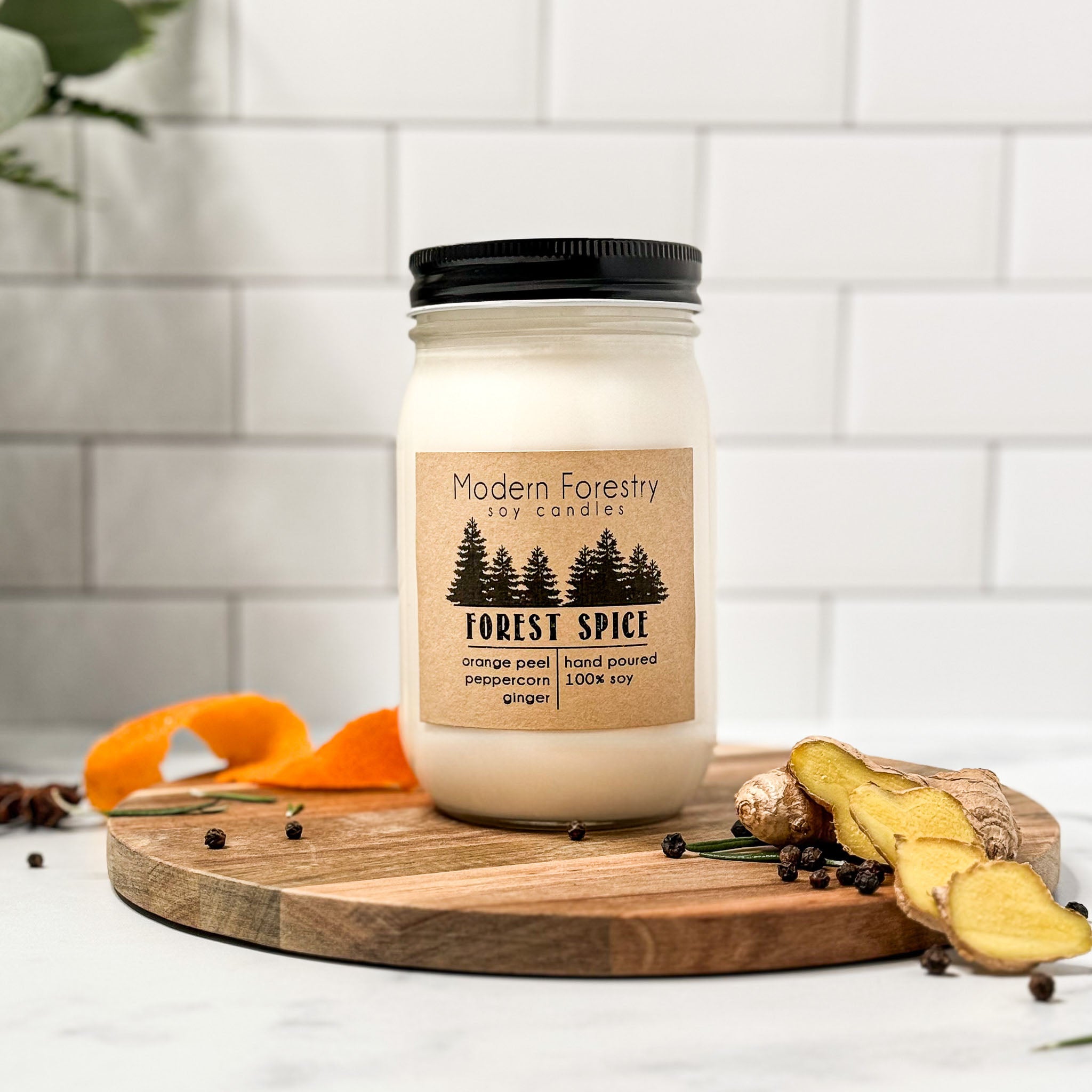 Forest Spice – Modern Forestry